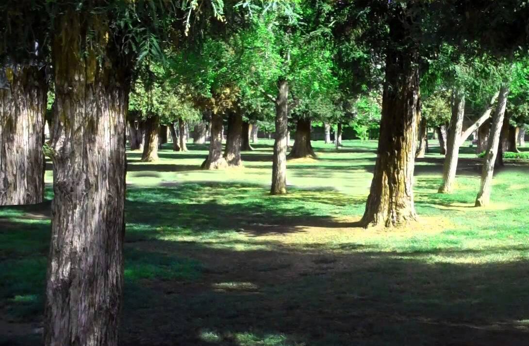 Green Screen Examples